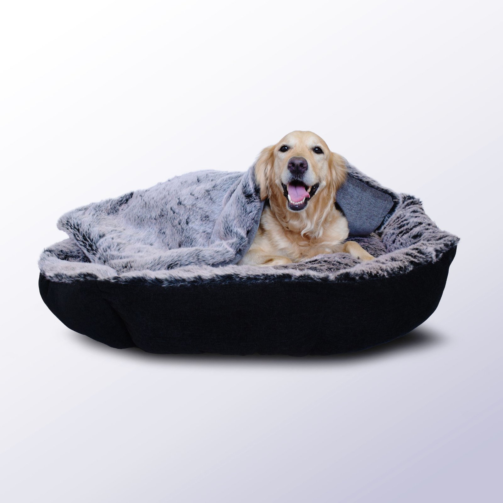 Bolster Dog Bed By Prazuchi. Buy Stylish, Comfortable and Washable Bed